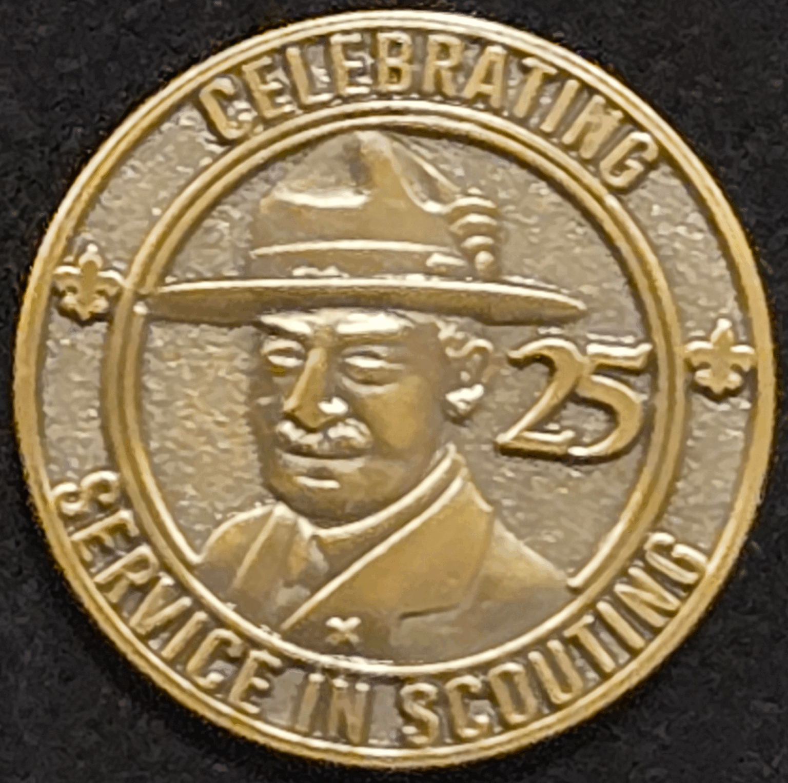 Scouting Alumni Service Commemoration - Scouting Alumni